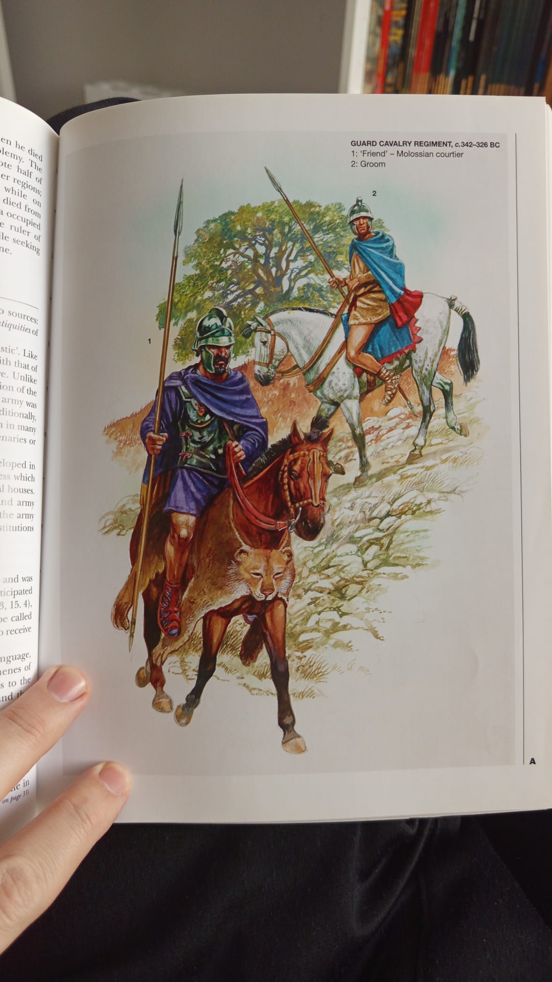 Los Compañeros del rey Pirro